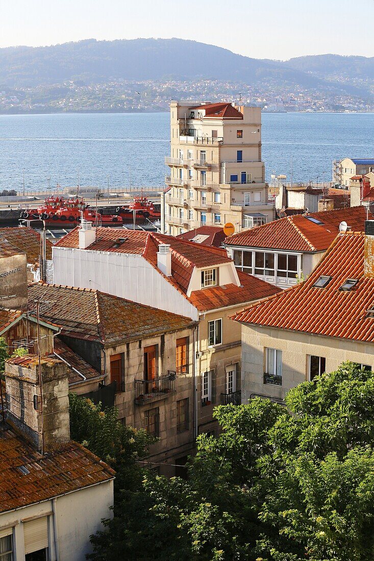 Trámites de Extranjería: Vivir en Vigo | Entre Trámites